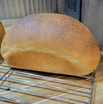 Easy 4 Ingredient Bread Made with Fresh Milled Flour