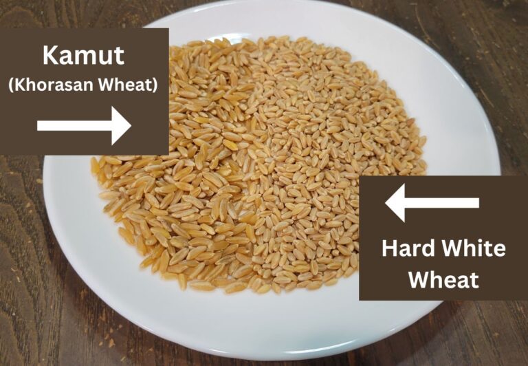 Baking with Ancient Grains: A Quick Guide To 100% Kamut Bread