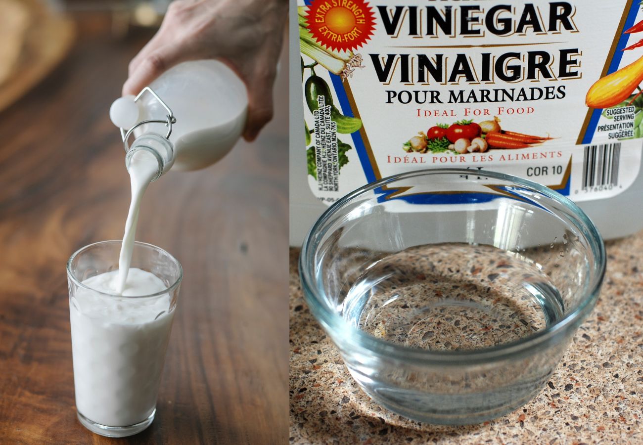 Fresh Milled Flour Blueberry Bread: Quick, Healthy, and Delicious!