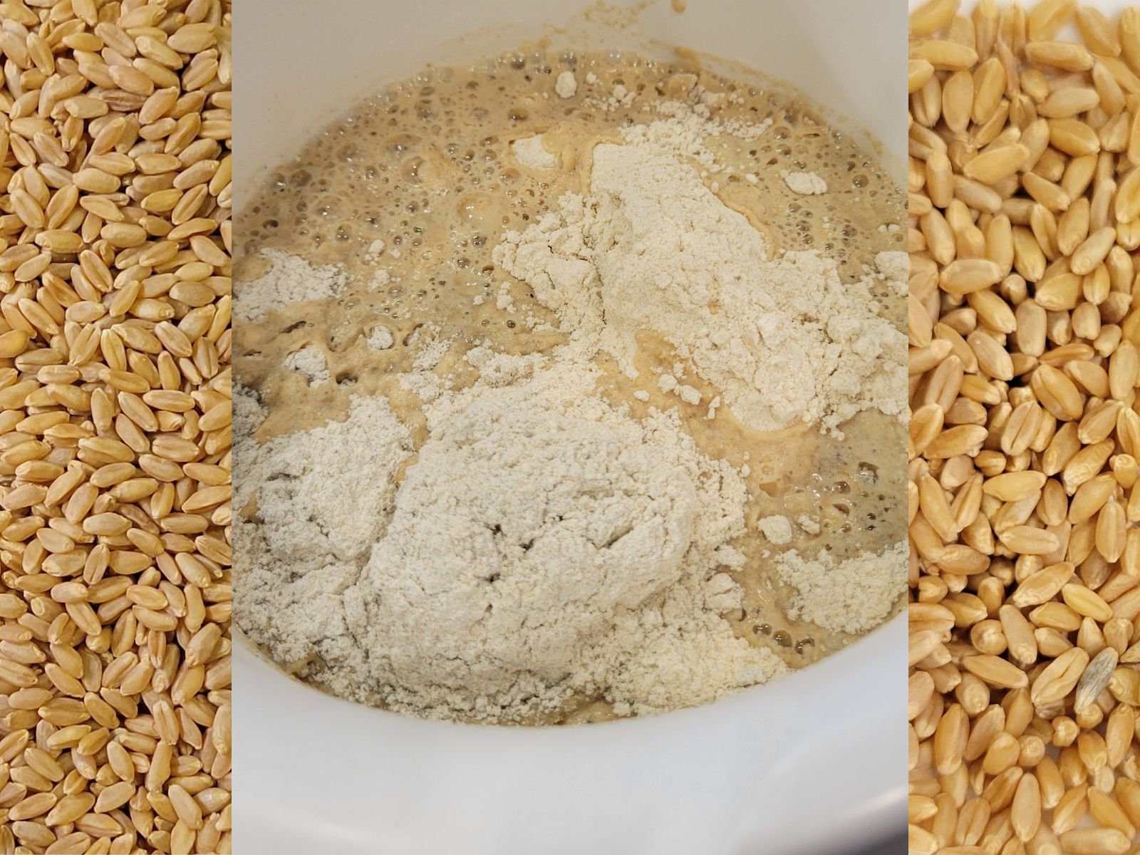 The Best Beer Bread Recipe Ever! Fresh Milled Flour Edition