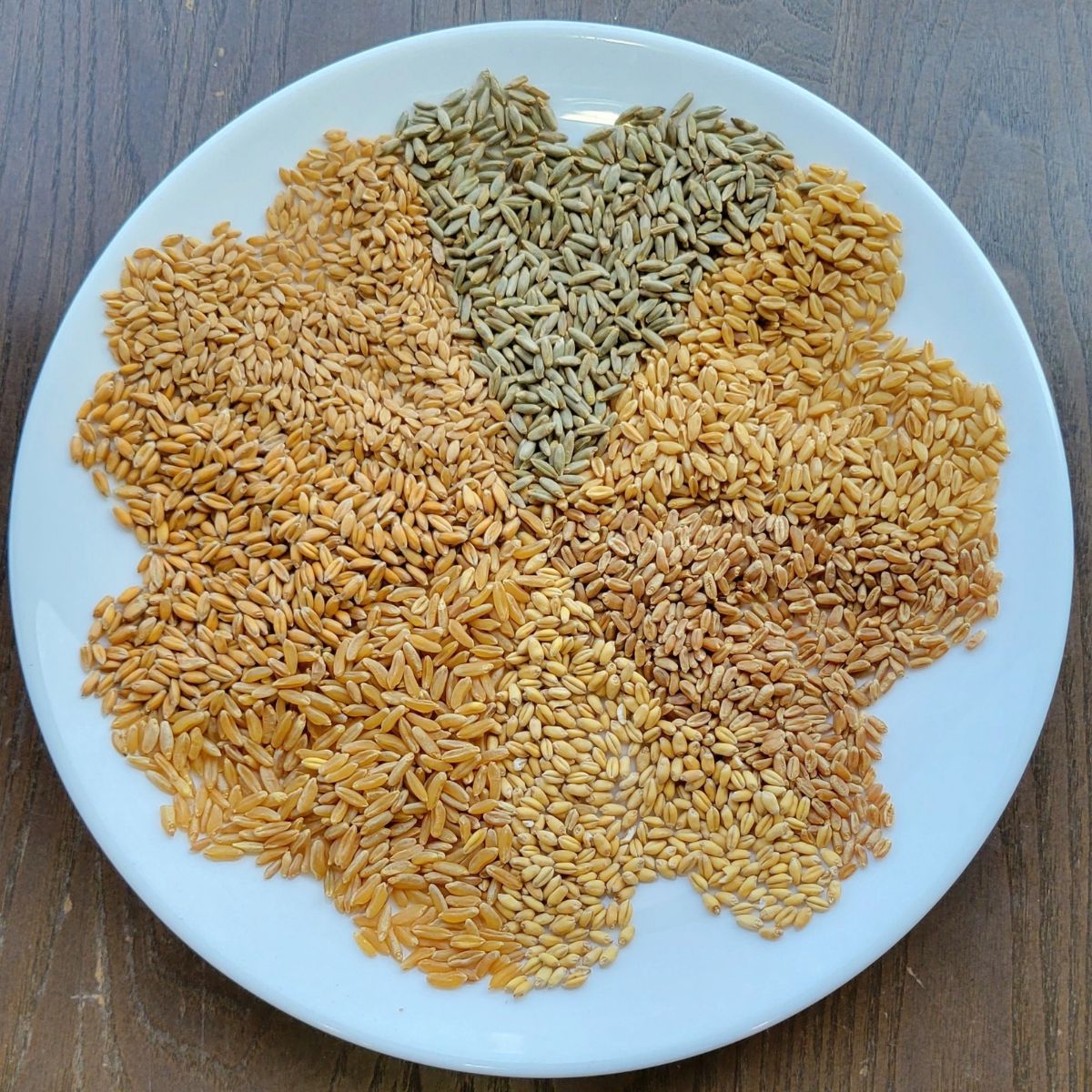 Shop Grains In Small Places - Grains In Small Places