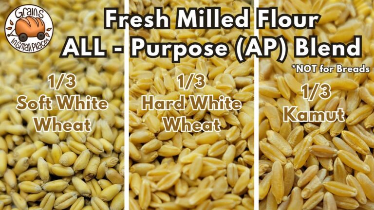 How To Make AP (All-Purpose) Flour From Fresh Milled Flour - Grains In ...